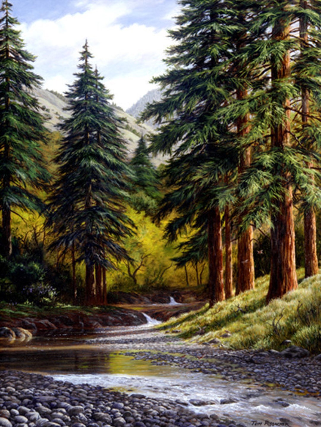 Redwood Painting, California Landscape Print, Wine Country Scenery ...