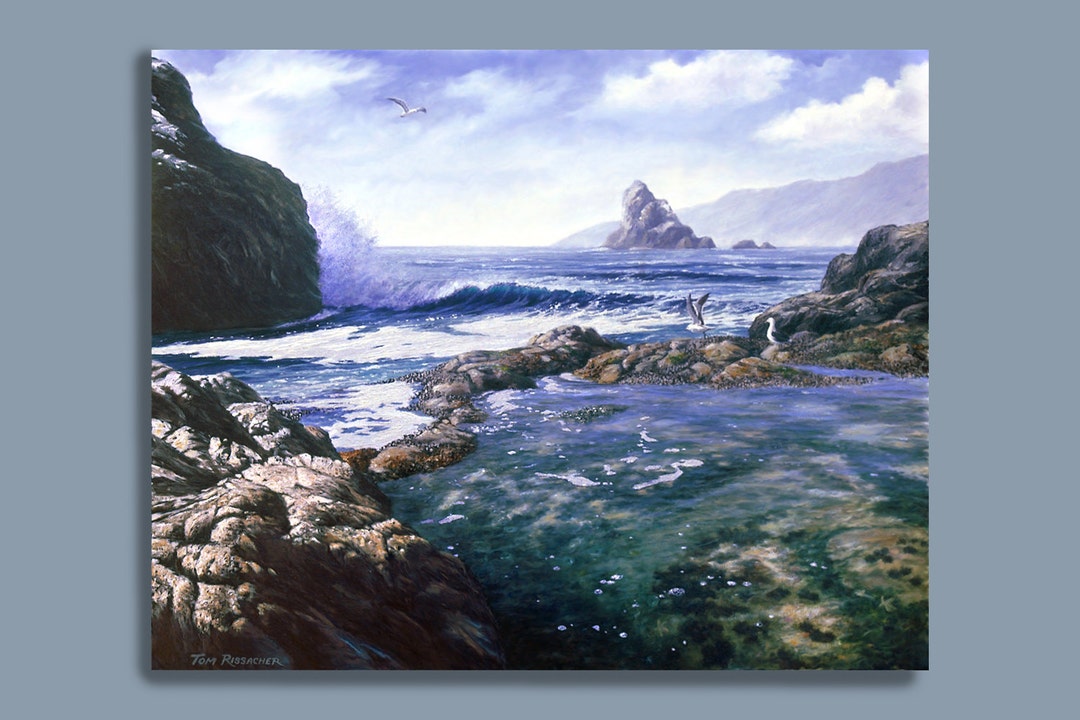 Art Print "sealife", Ocean Tidepool Painting, California Coast, Sonoma ...