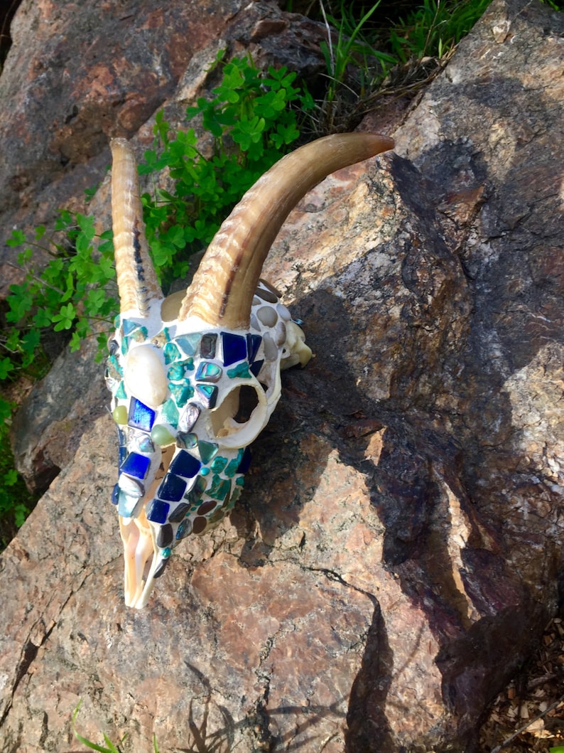 Mosaic Goat Skull Art Animal Skull Wall Hanging Antler - Etsy