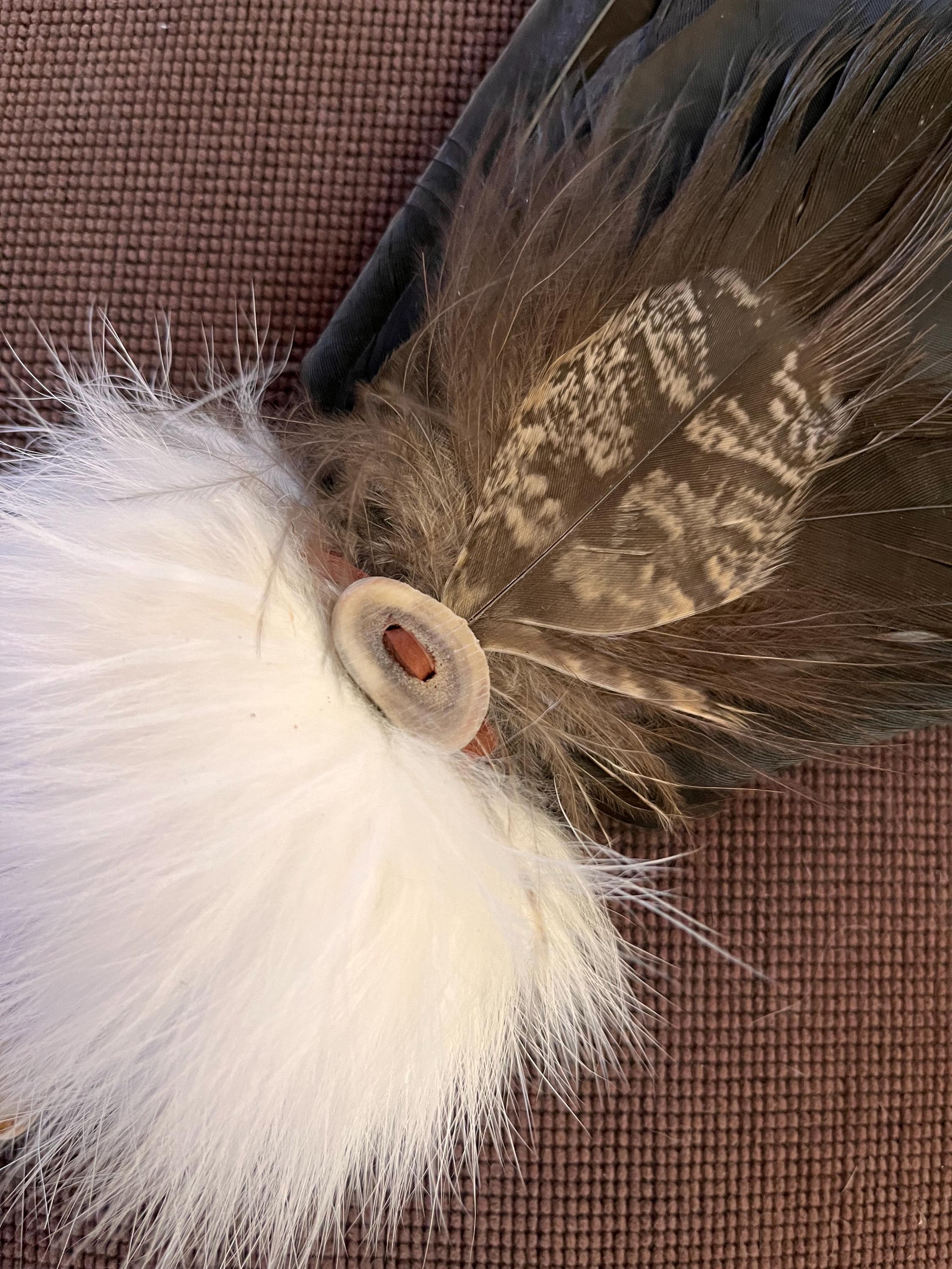 Custom Medicine Man Feather Fan: Smudging Wand, Spirit Staff - Etsy