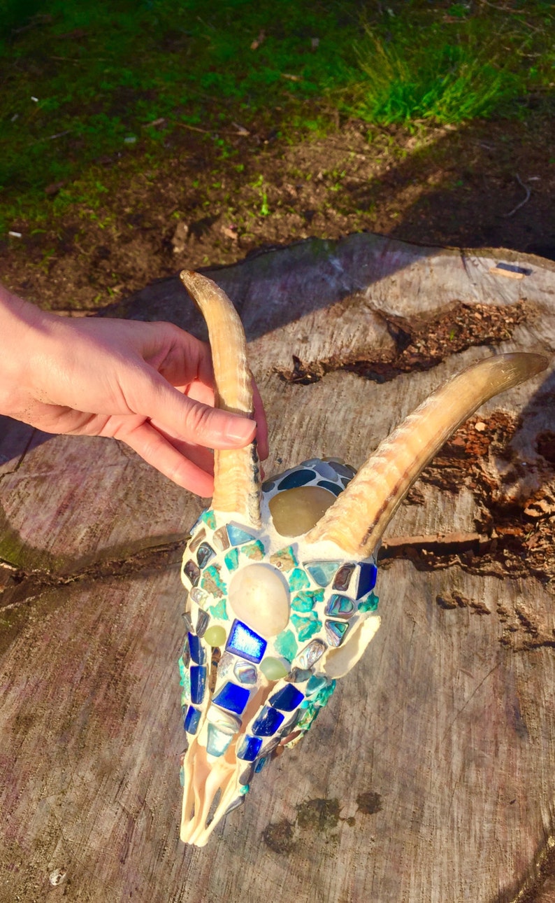 Mosaic Goat Skull Art Animal Skull Wall Hanging Antler - Etsy