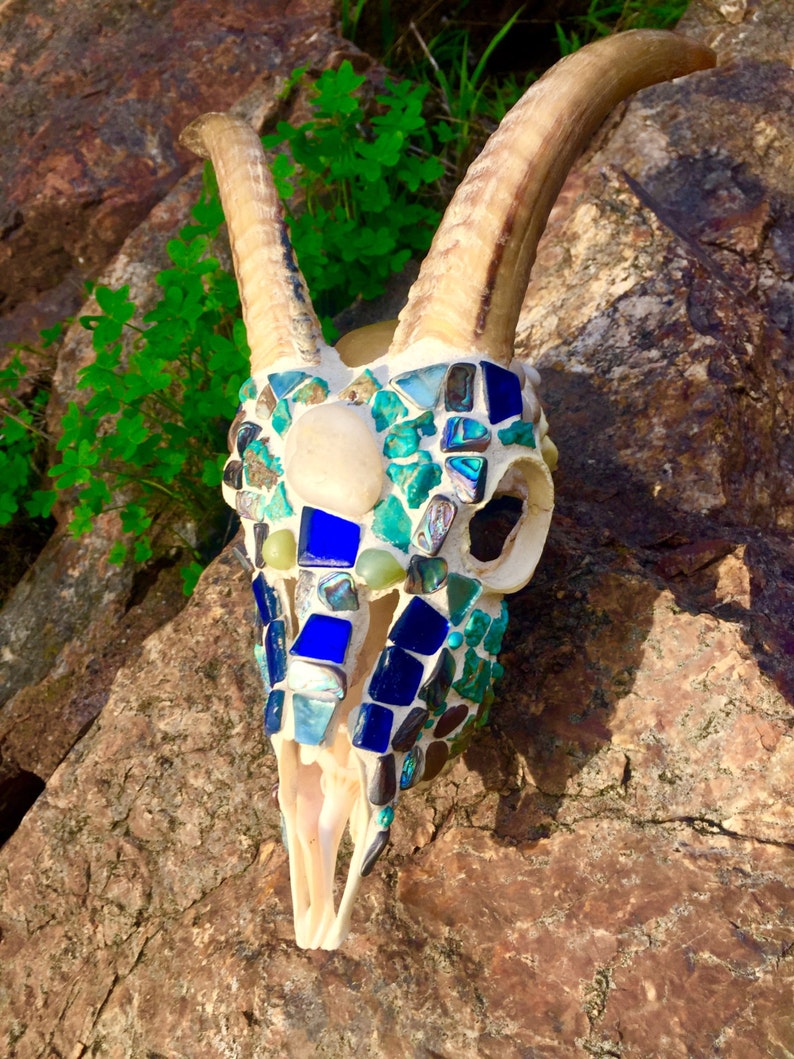 Mosaic Goat Skull Art Animal Skull Wall Hanging Antler - Etsy