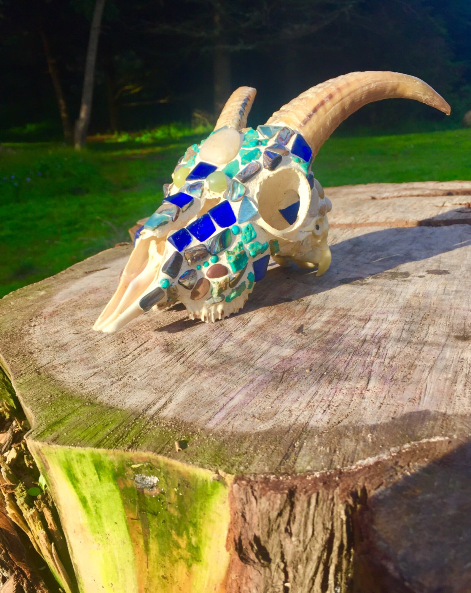 Mosaic Goat Skull Art Animal Skull Wall Hanging Antler - Etsy