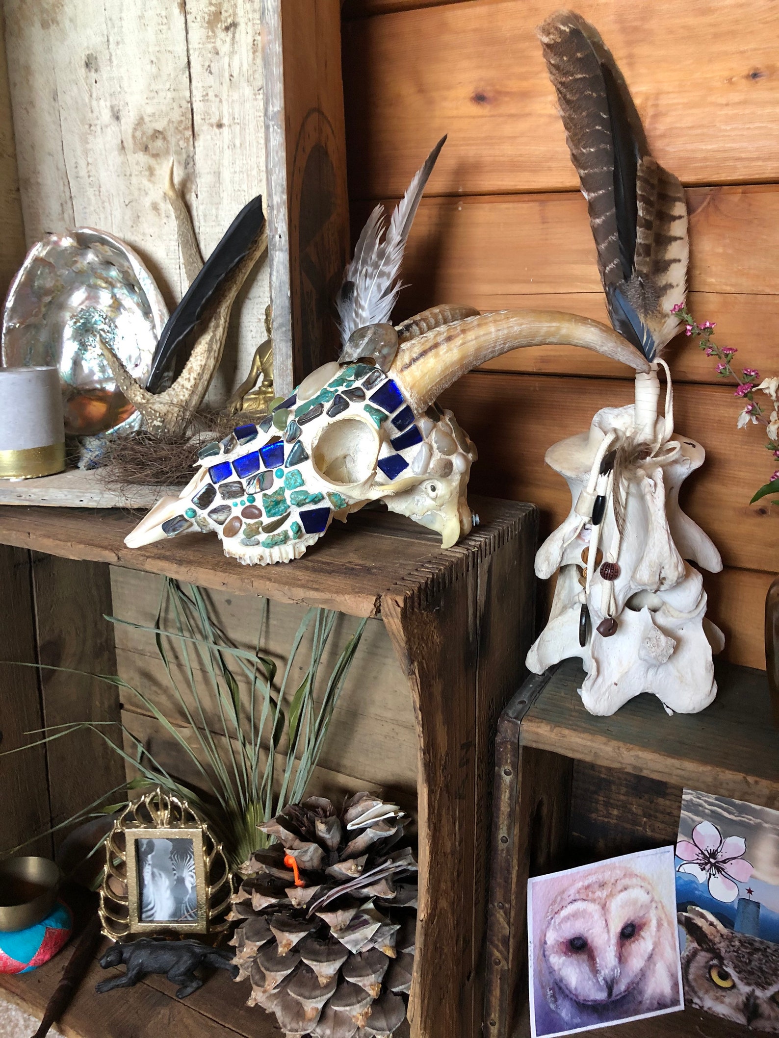 Mosaic Goat Skull Art Animal Skull Wall Hanging Antler - Etsy