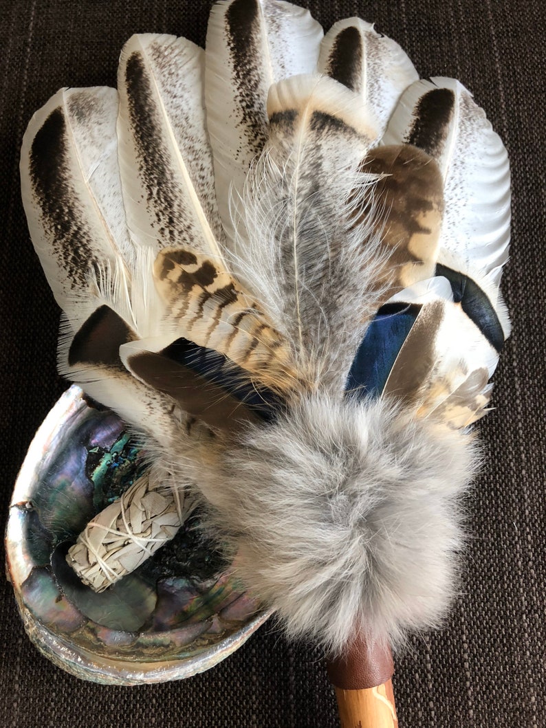 World Of Smudge Cathy Canuck Telegraph