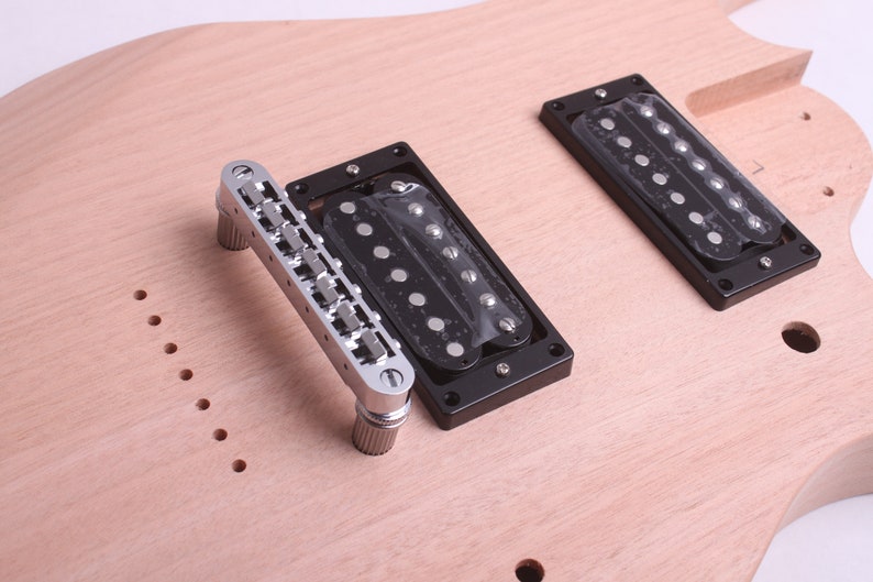 Build Your Own Electric Guitar Kit - 7 String JS Kit - Etsy