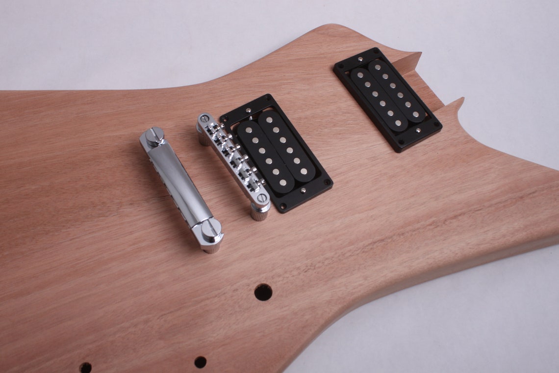 Build Your Own Electric Guitar Kit Exp - Etsy