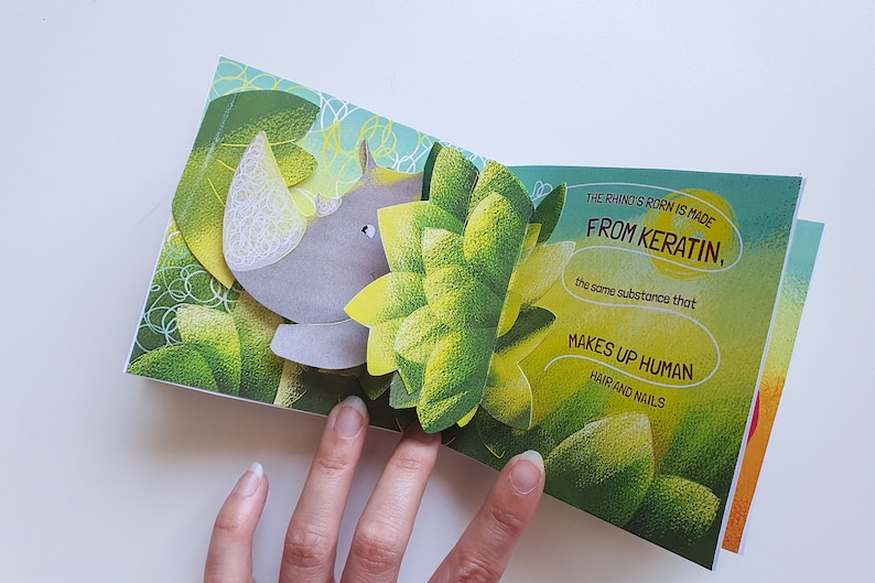 DIY Safari Animal Pop-up Book: Printable Paper Craft (digital Download ...