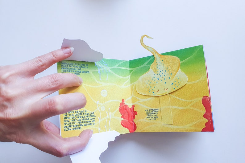 Diy Popup Book Papercraft for Kids and Parents Play and Learn - Etsy UK