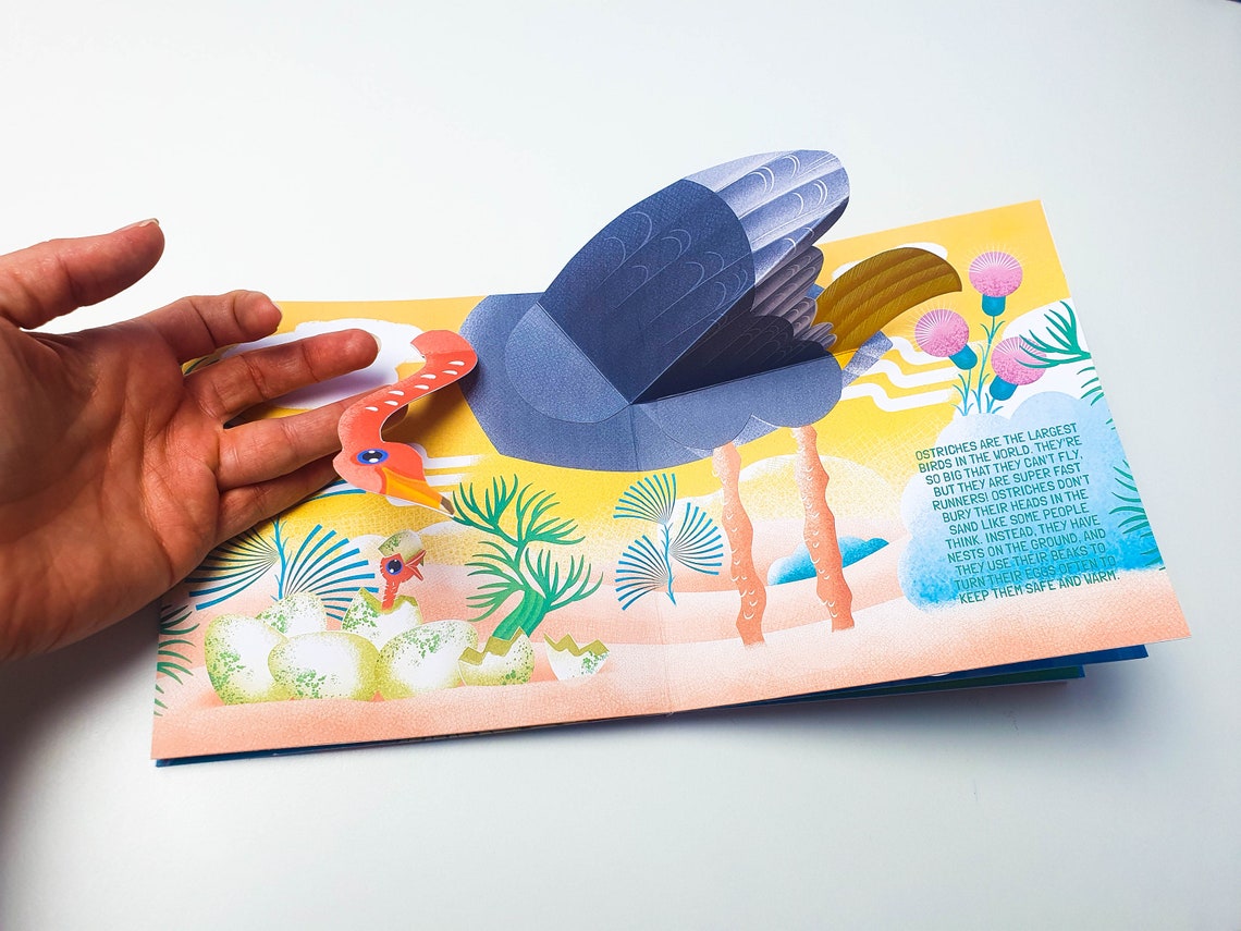 Birds Pop up Book Kit for Children, Educational DIY Paper Craft ...