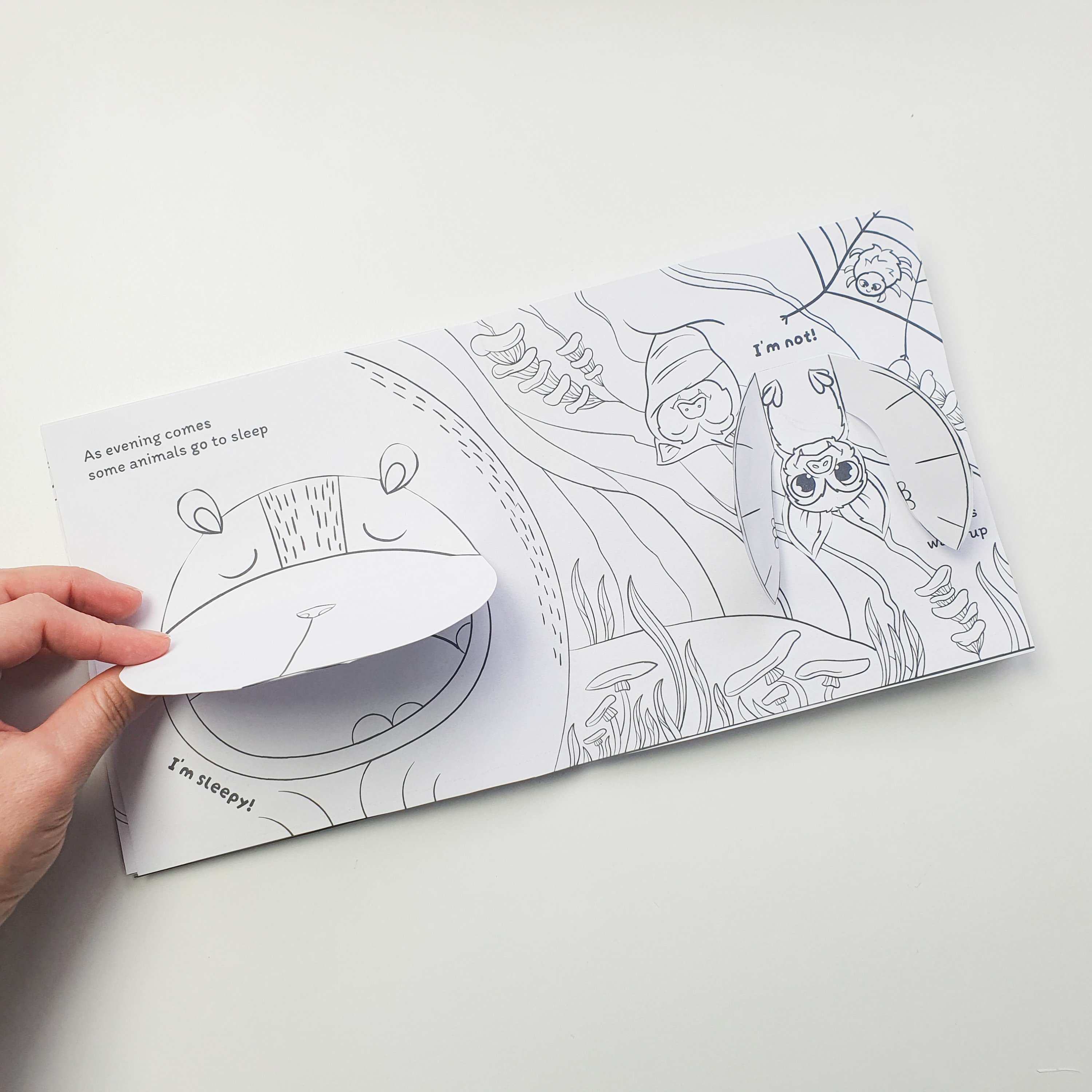 Lift the Flap DIY Coloring Book for Young Children, Forest Book ...