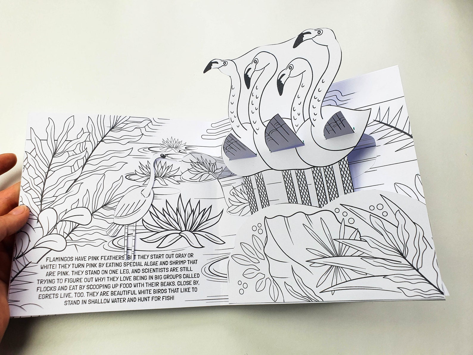 Birds DIY Coloring Pop-up Book Kit for Children, Educational Paper ...