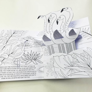 Birds DIY Coloring Pop-up Book Kit for Children, Educational Paper ...