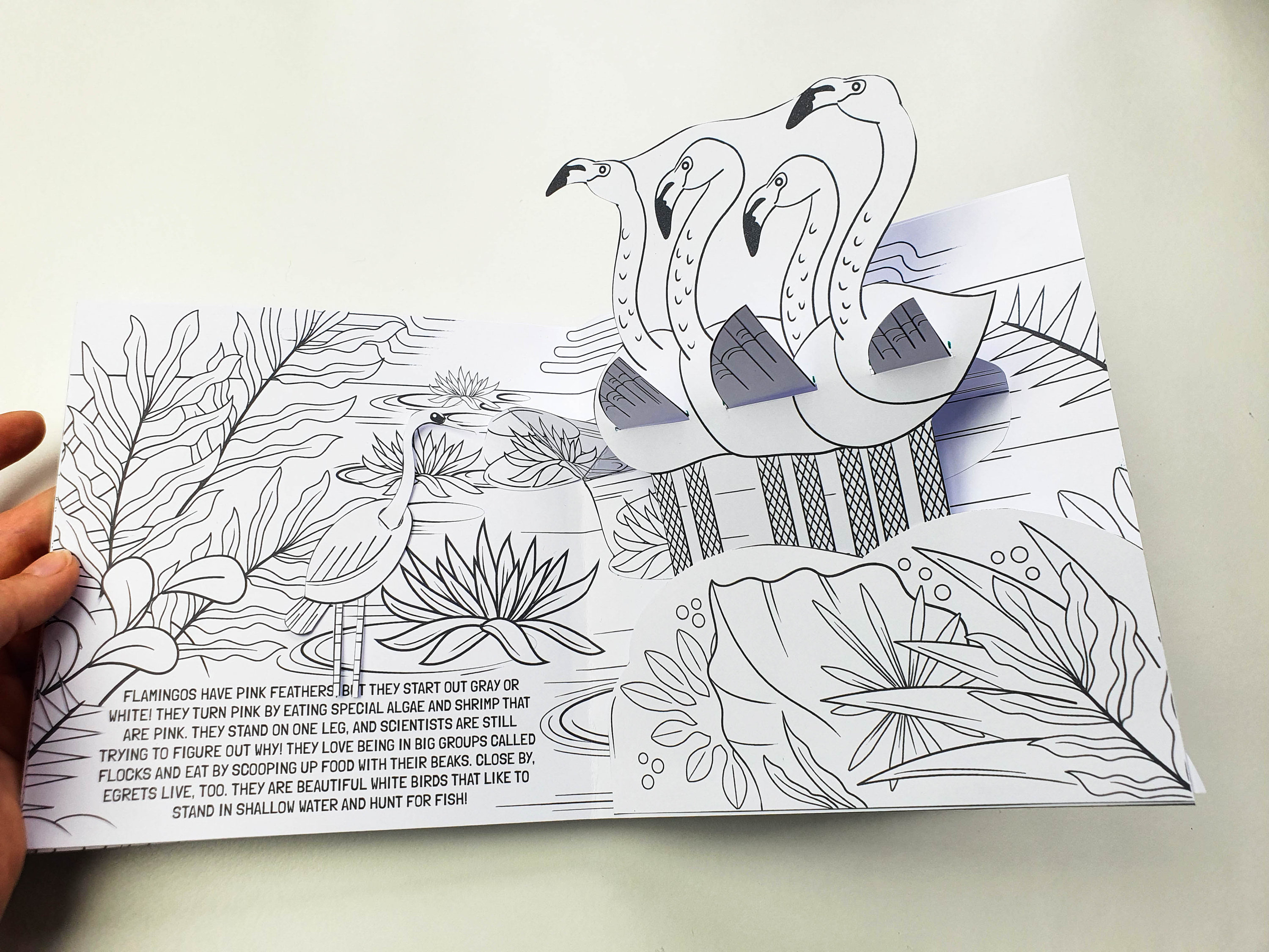 Birds DIY Coloring Pop-up Book Kit for Children, Educational Paper ...