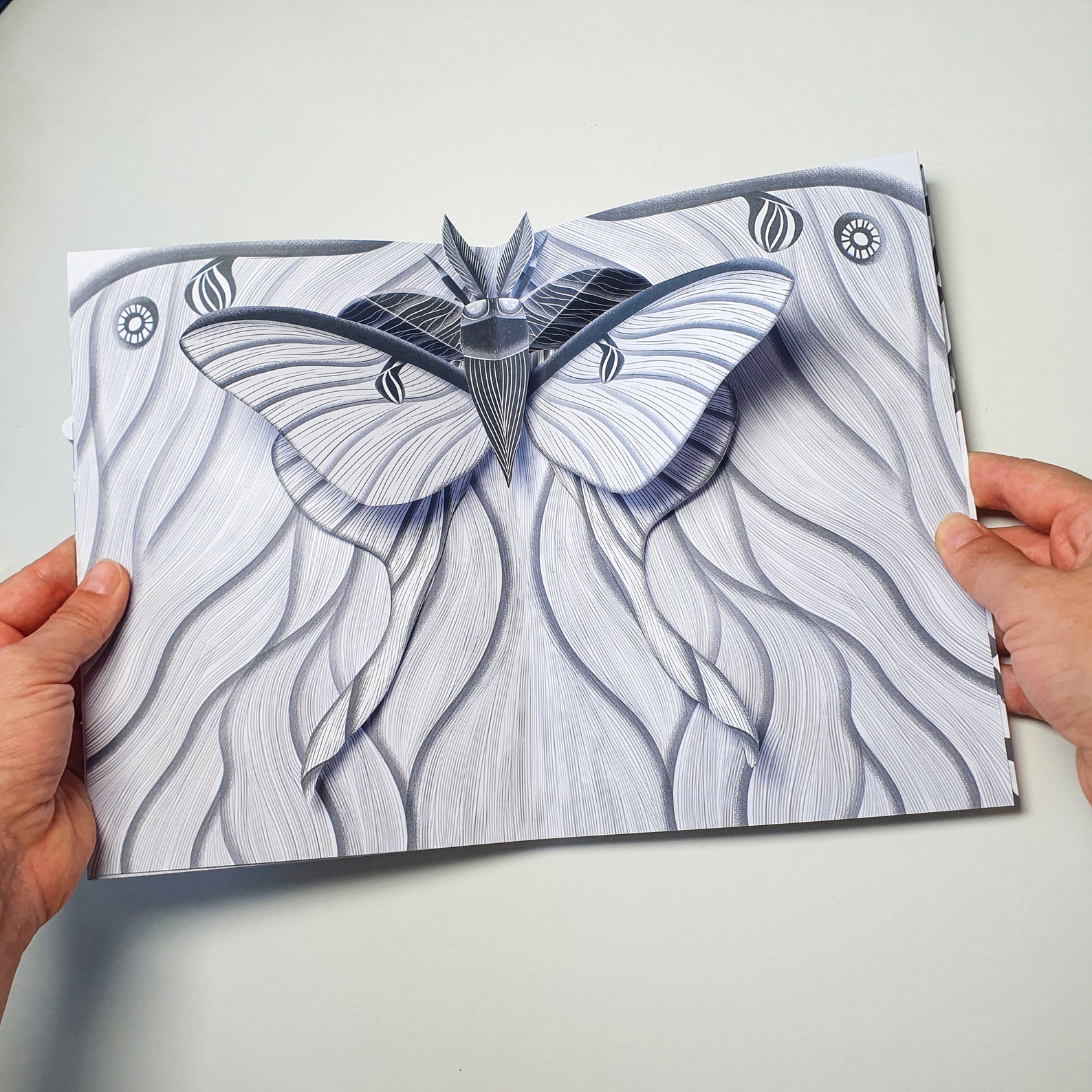 Moths DIY Pop-up Book Kit: Black and White Papercraft (printable ...