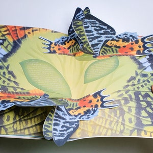 Moths DIY Pop up Book Creation Kit for Adults, DIY Pop-up Book Project ...