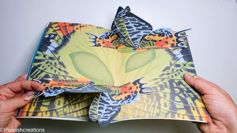 Moths DIY Pop up Book Creation Kit for Adults DIY Pop-up Book - Etsy