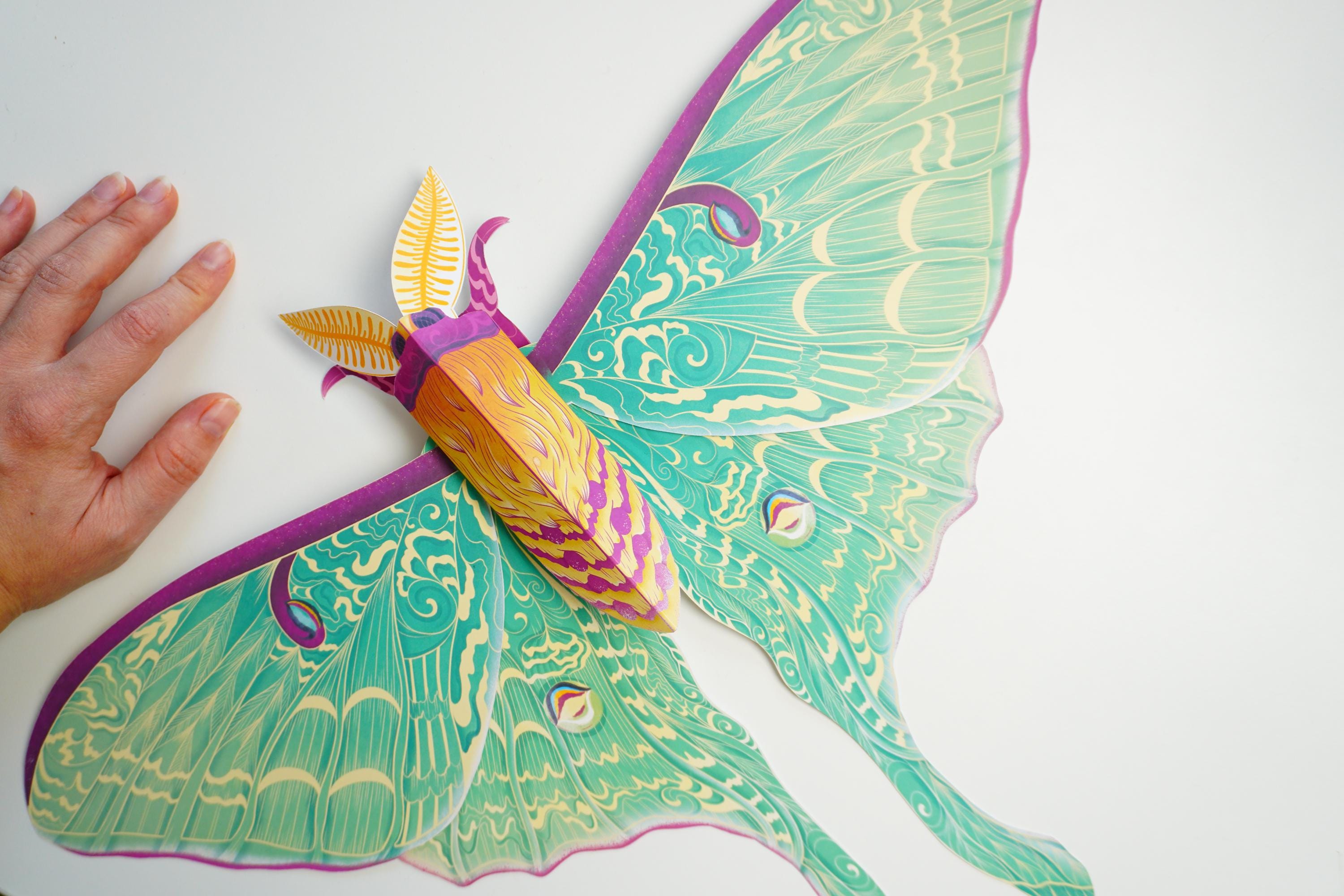 Luna Moth DIY Paper Craft: 3D Printable Template (digital Download) - Etsy