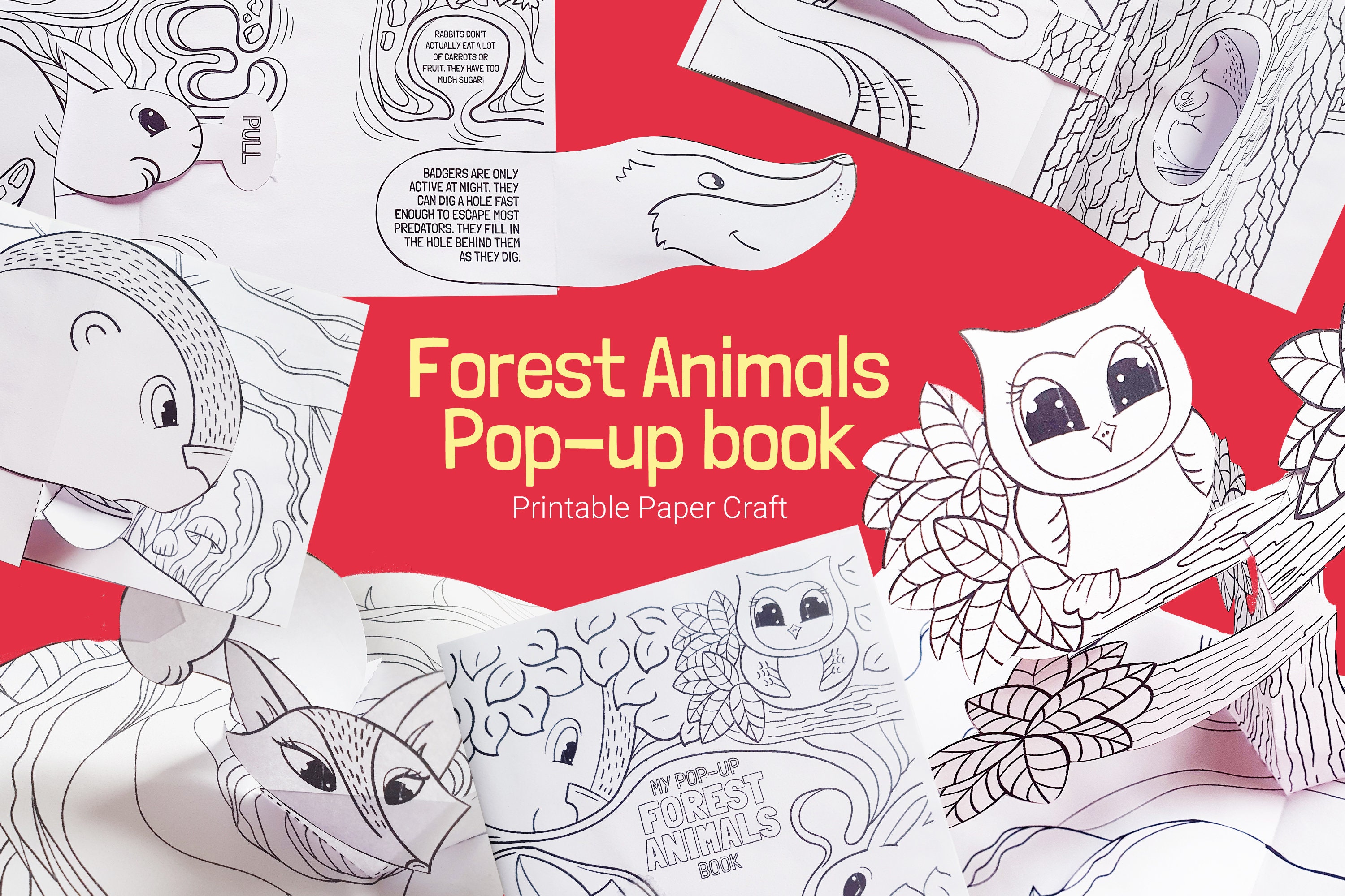 Woodland Animals 3d Coloring Pop up Book Making Kit for Kids - Etsy