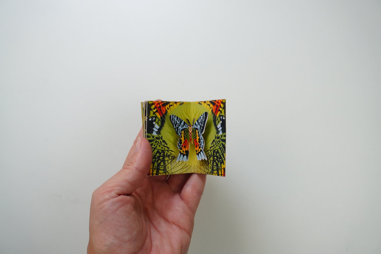Moths Miniature Pop-up Book, Detailed Paper Craft for Adults, Make Your ...