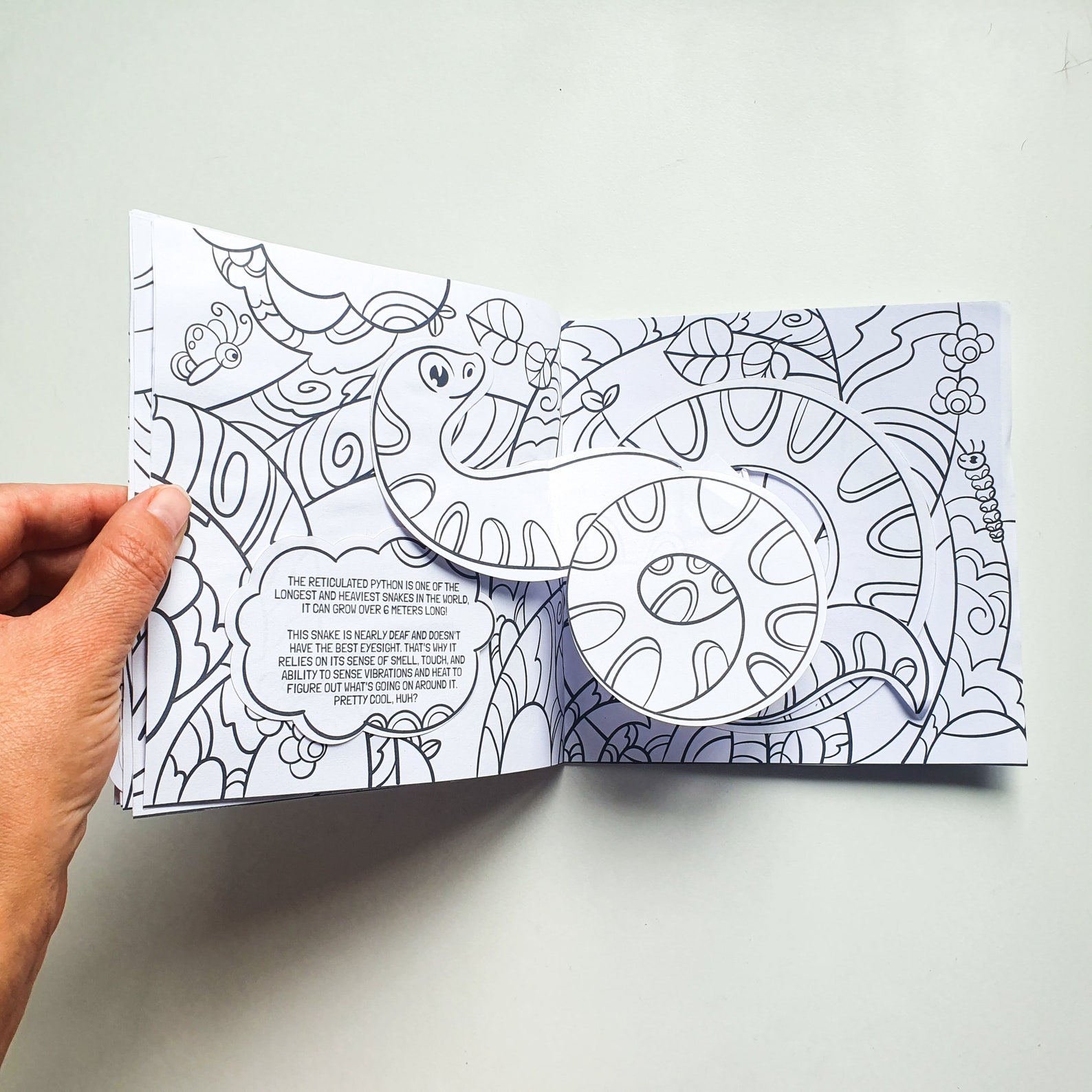 Jungle Animals Pop-up Book, Coloring Papercraft for Kids, Diy Printable ...