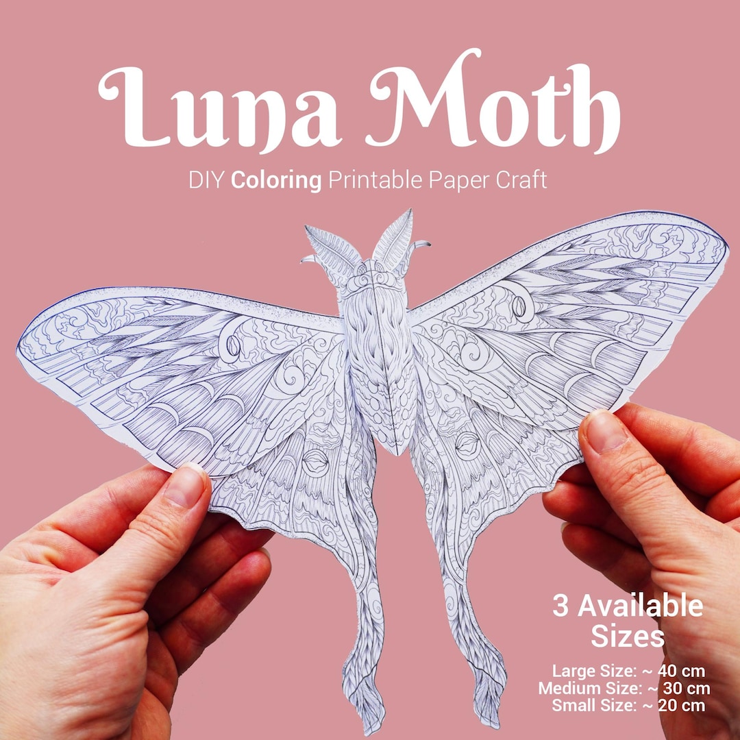 Coloring Luna Moth DIY Paper Craft, Downloadable Template, Kids and ...