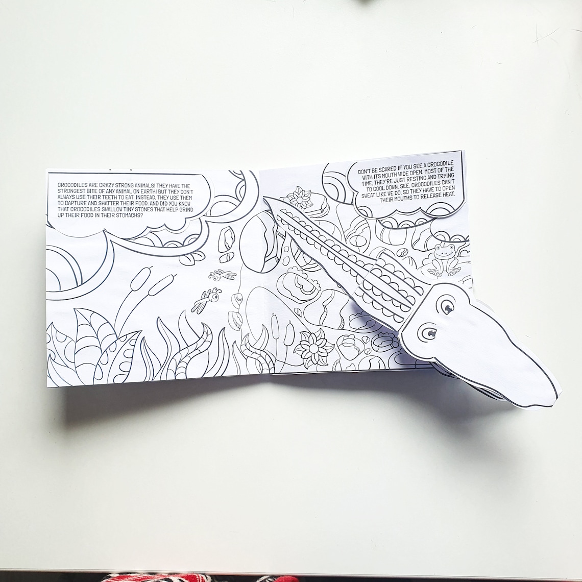 Jungle Animals Pop-up Book, Coloring Papercraft for Kids, Diy Printable ...