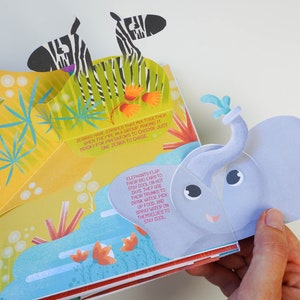 DIY Pop-up Book for Kids About Geography: Deserts, Grasslands ...