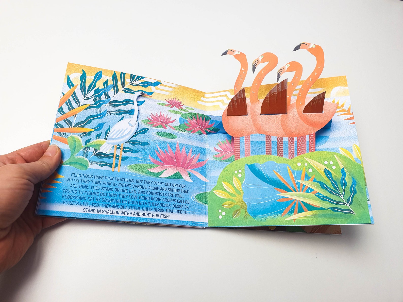 Birds Pop up Book Kit for Children, Educational DIY Paper Craft ...