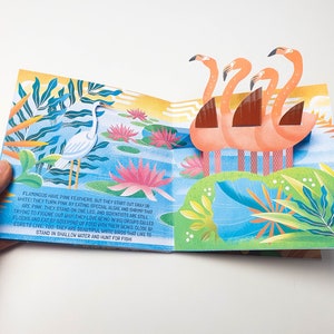 Birds Pop up Book Kit for Children, Educational DIY Paper Craft ...