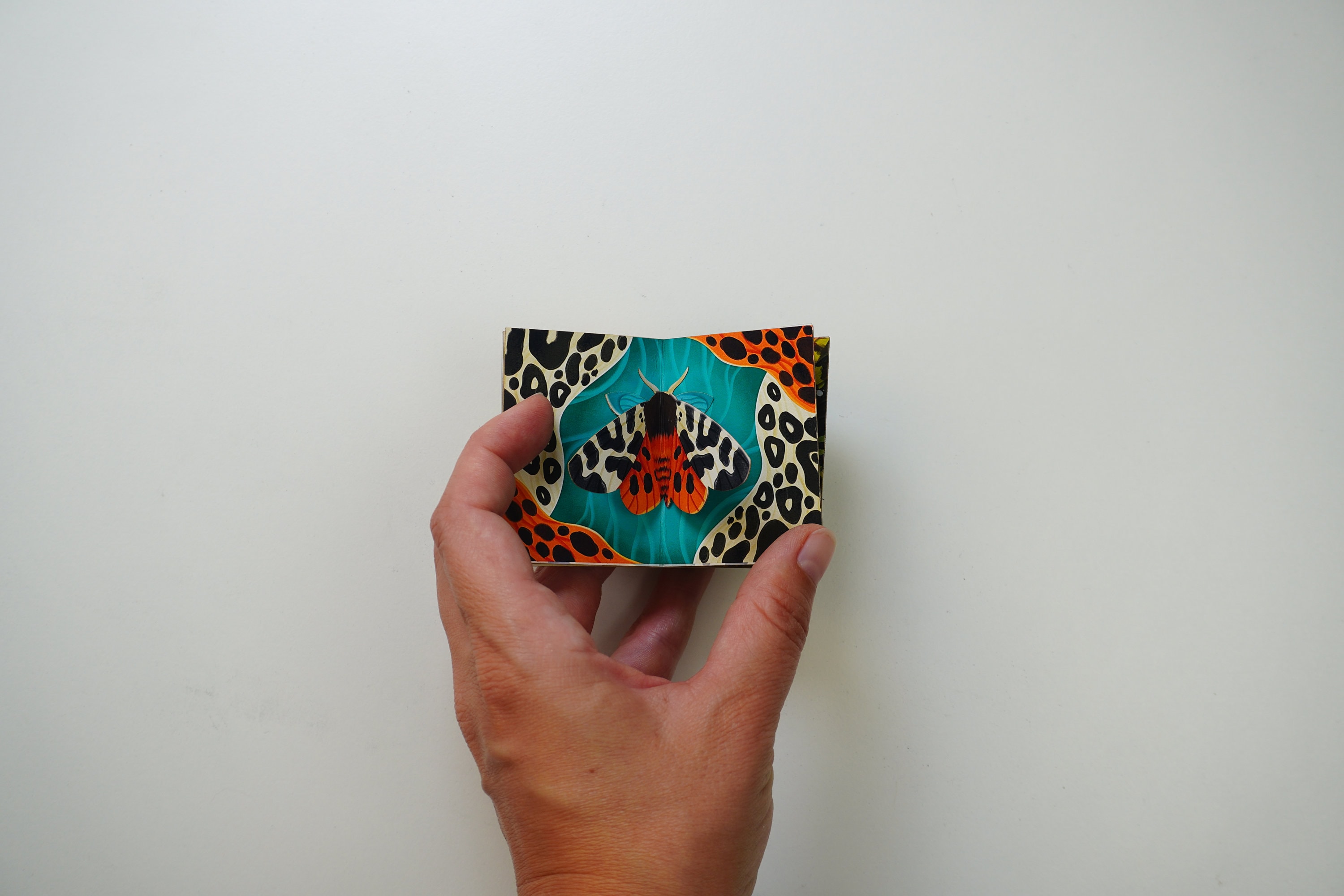 Moths Miniature Pop-up Book, Detailed Paper Craft for Adults, Make Your ...