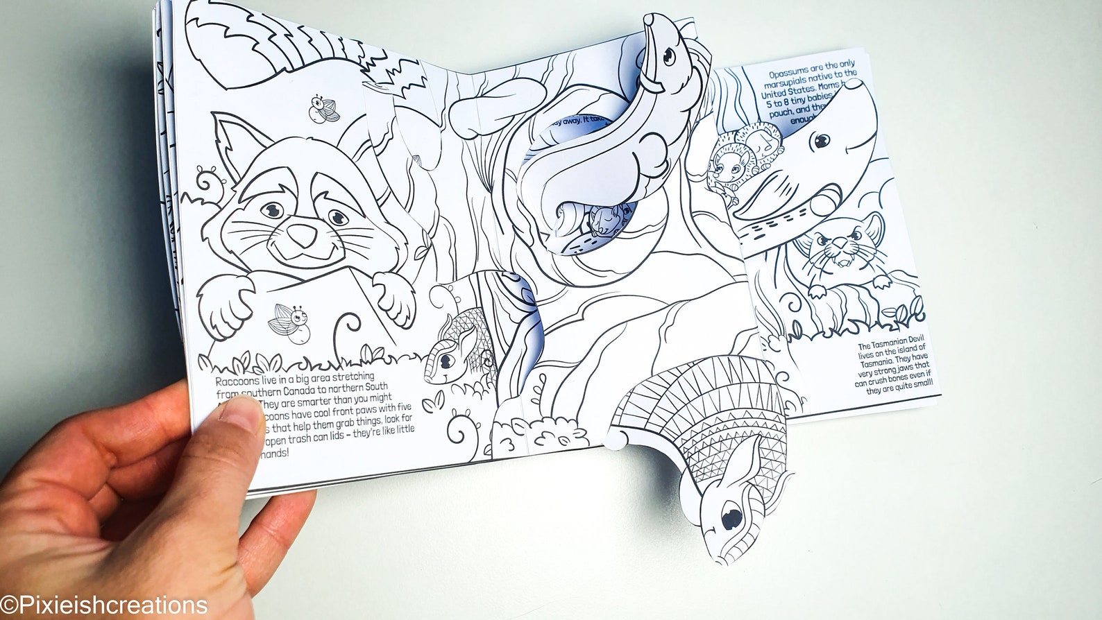 Night Animals Coloring Pop-up Book Creation Kit, Fun Coloring Kids ...