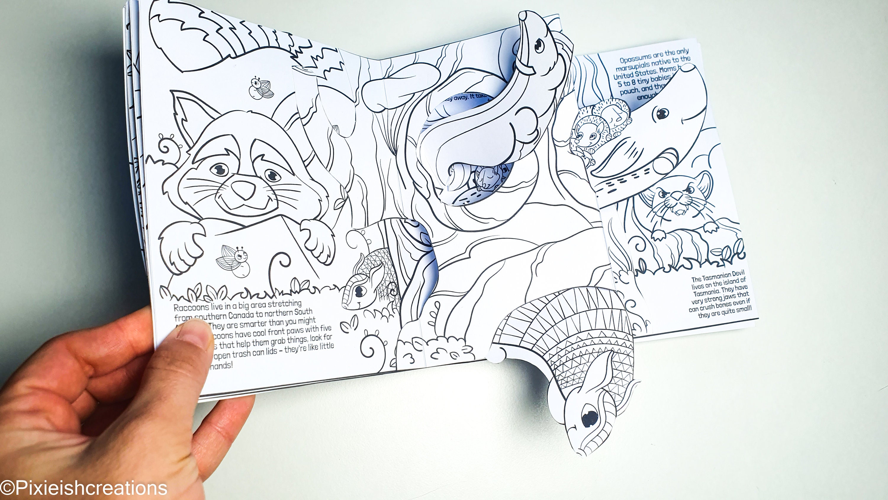 Night Animals Coloring Pop-up Book Creation Kit, Fun Coloring Kids ...