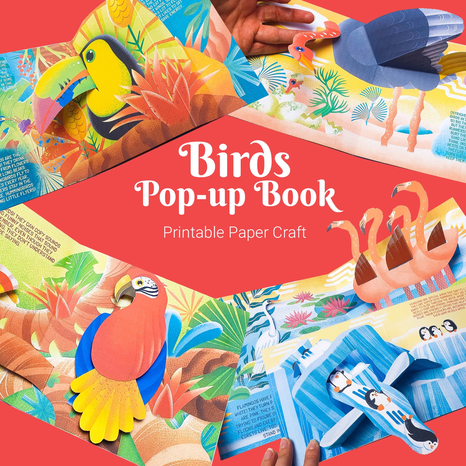 Birds Pop up Book Kit for Children, Educational DIY Paper Craft ...
