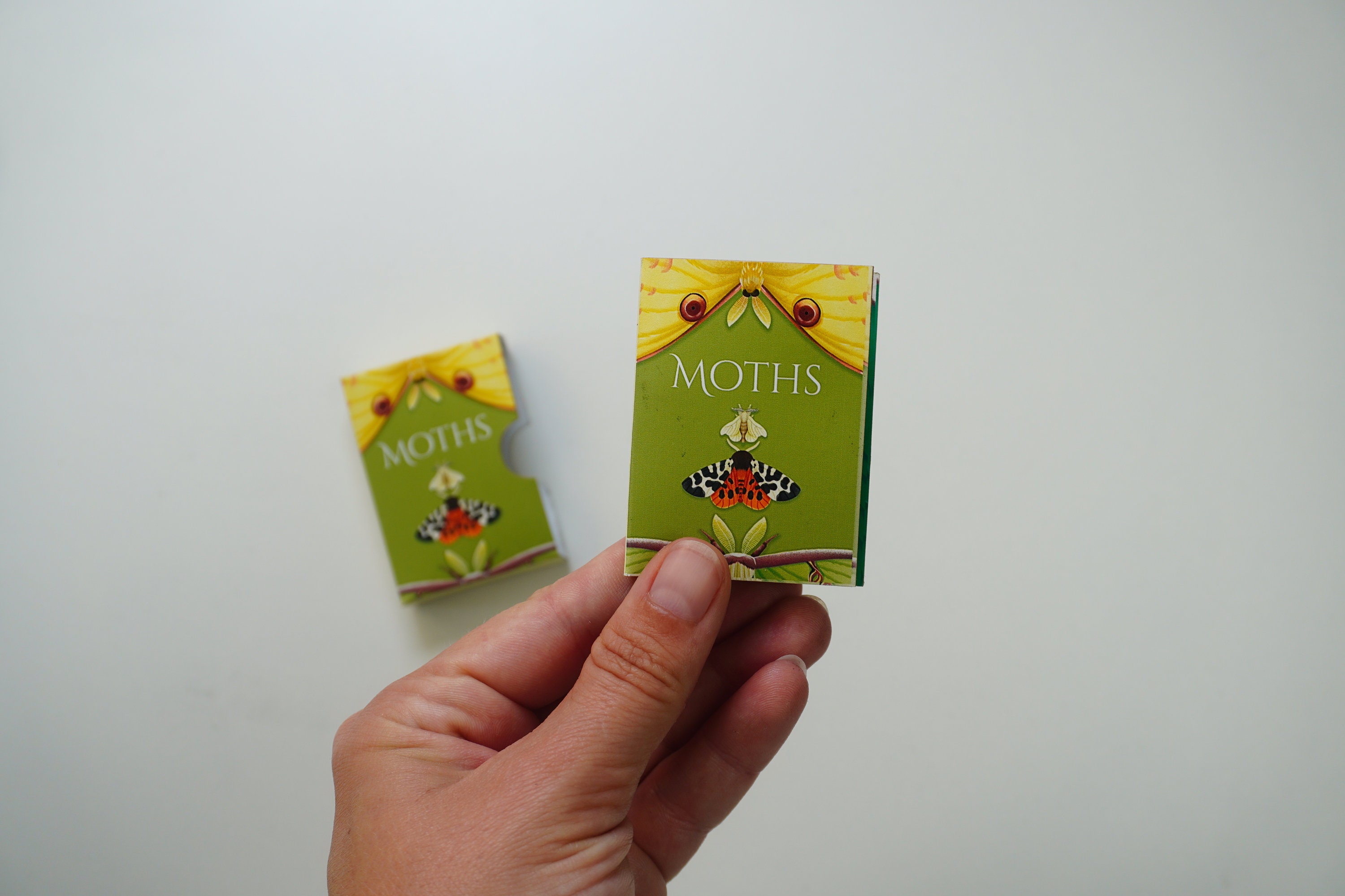 Moths Miniature Pop-up Book, Detailed Paper Craft for Adults, Make Your ...