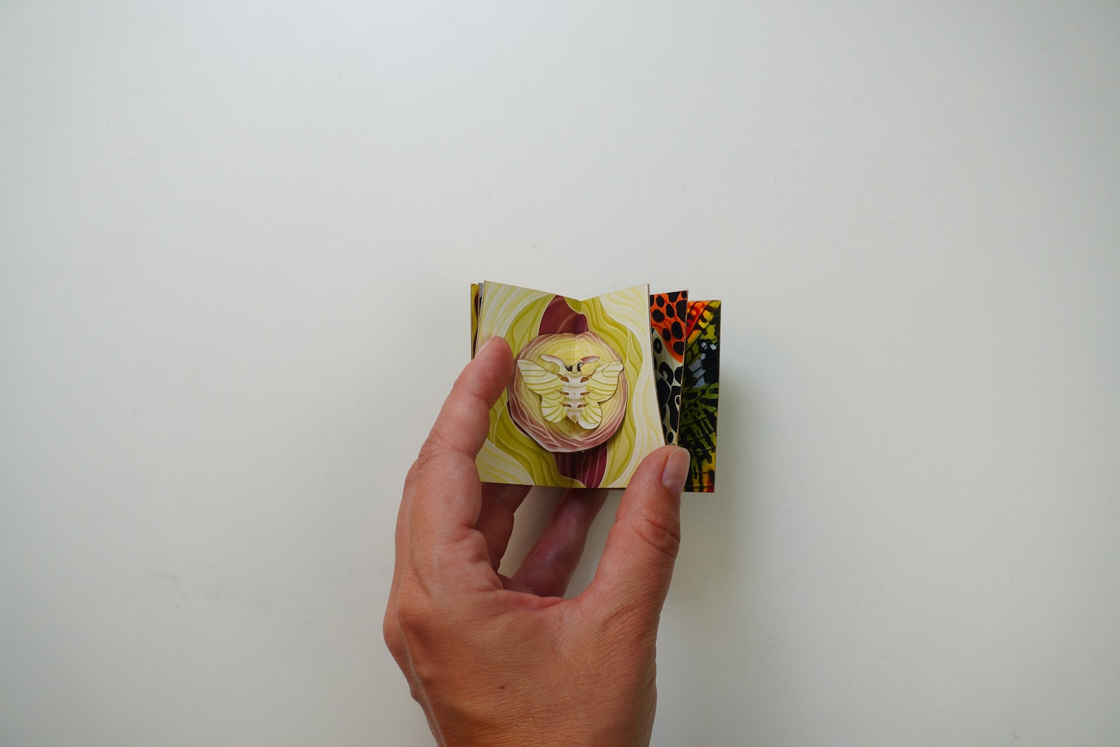 Moths Miniature Pop-up Book, Detailed Paper Craft for Adults, Make Your ...