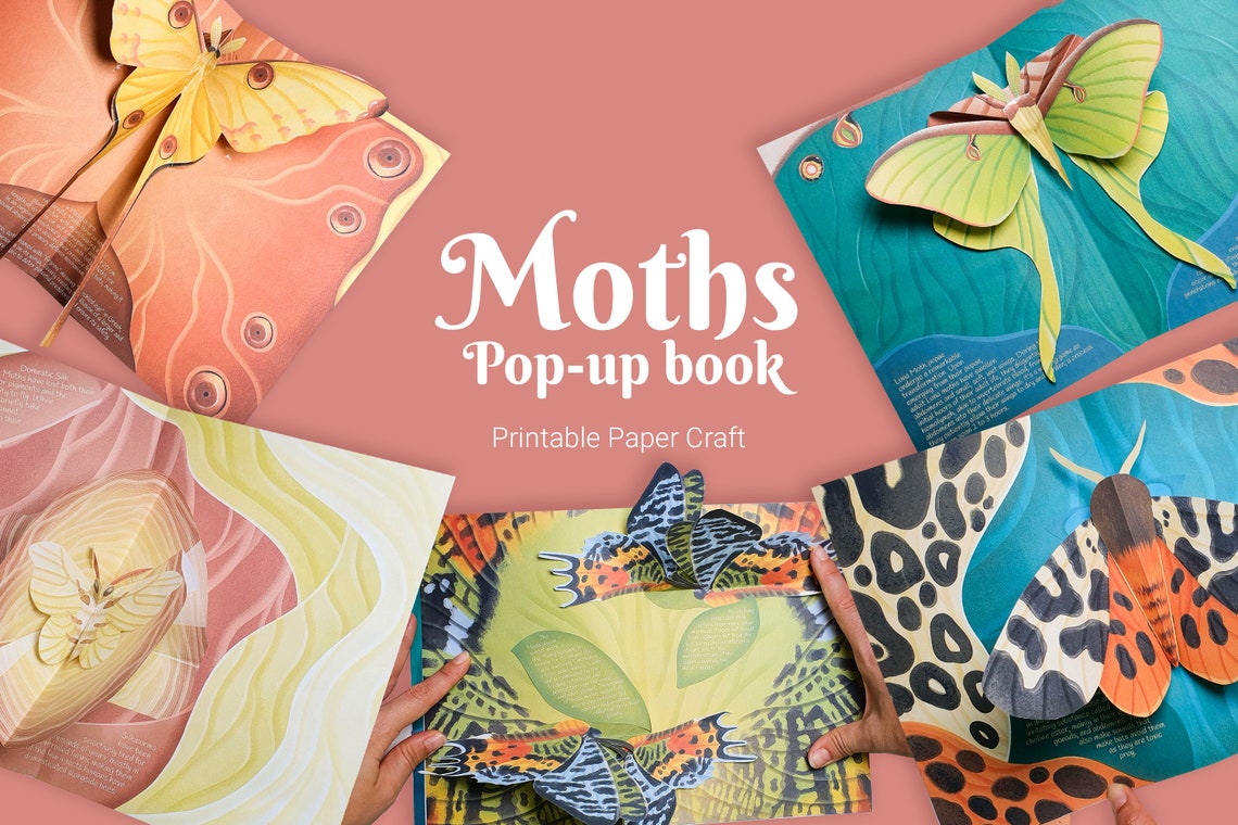 Moths DIY Pop up Book Creation Kit for Adults, DIY Pop-up Book Project ...