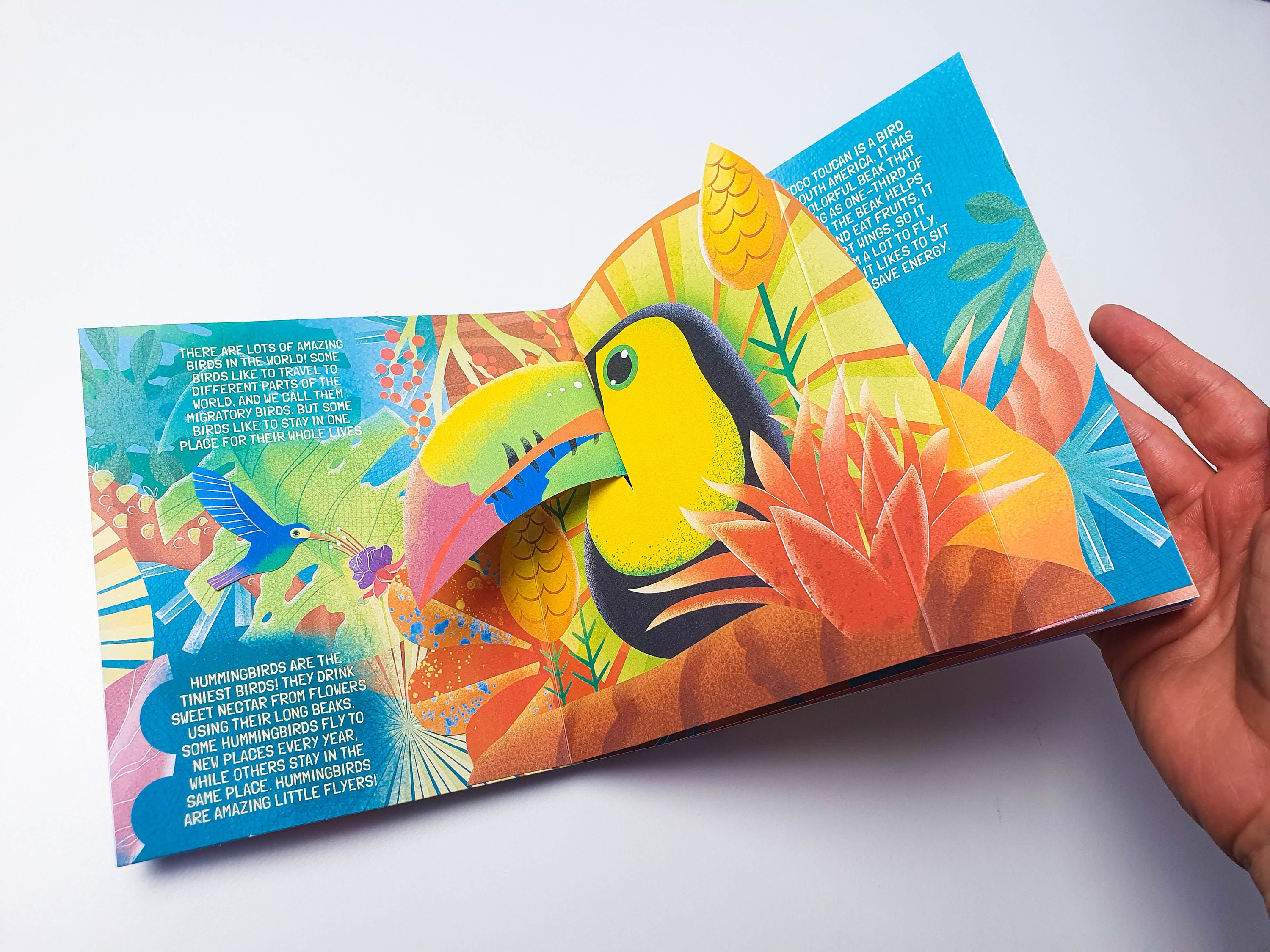 Birds Pop up Book Kit for Children, Educational DIY Paper Craft ...