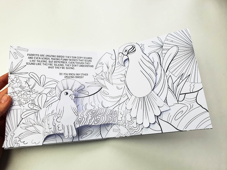 Birds DIY Coloring Pop-up Book Kit for Children, Educational Paper ...