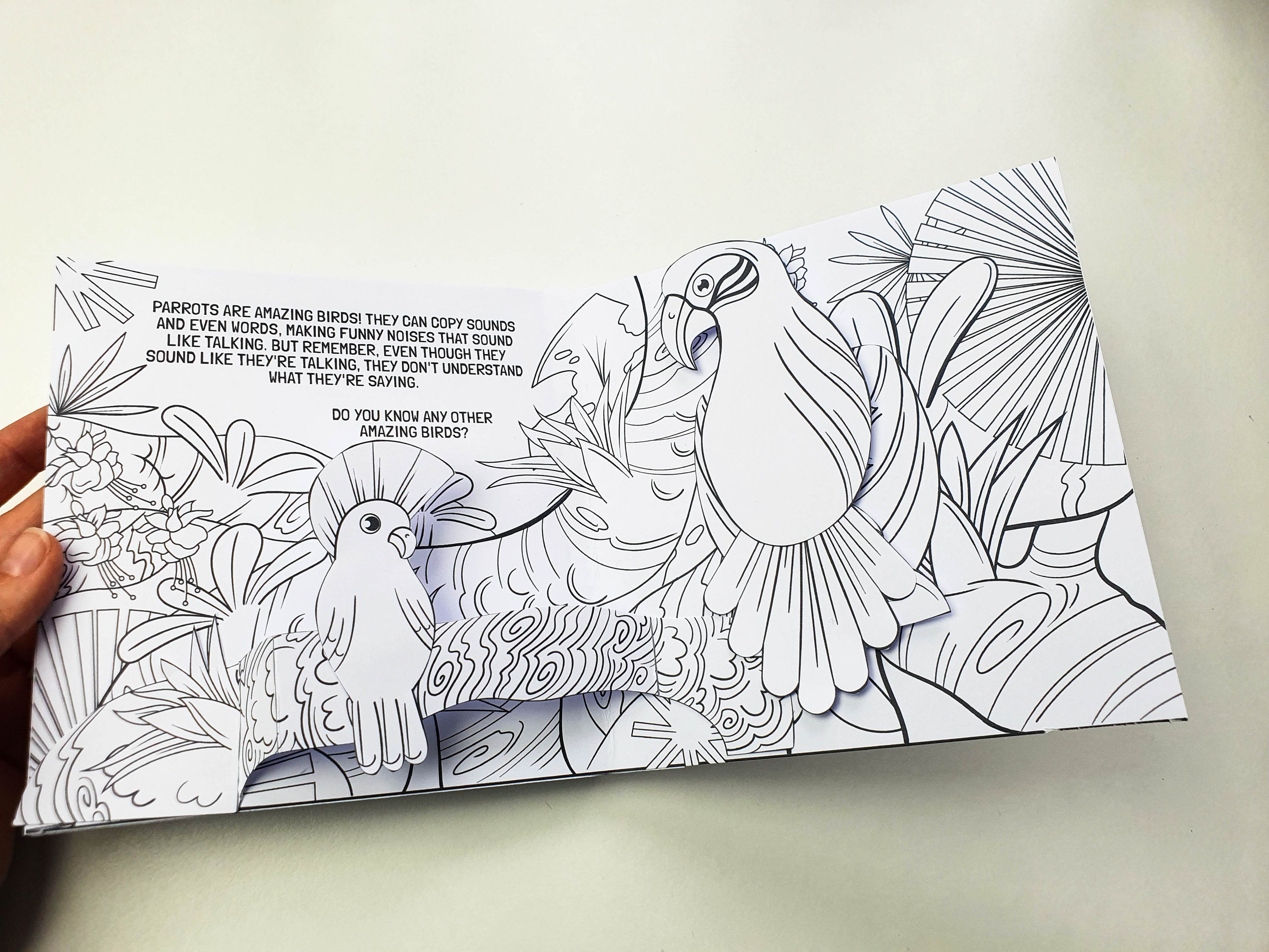 Birds DIY Coloring Pop-up Book Kit for Children, Educational Paper ...