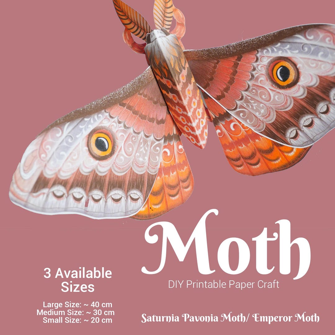 3D Moth DIY Paper Craft, Digital Download Template for Kids and Adults ...