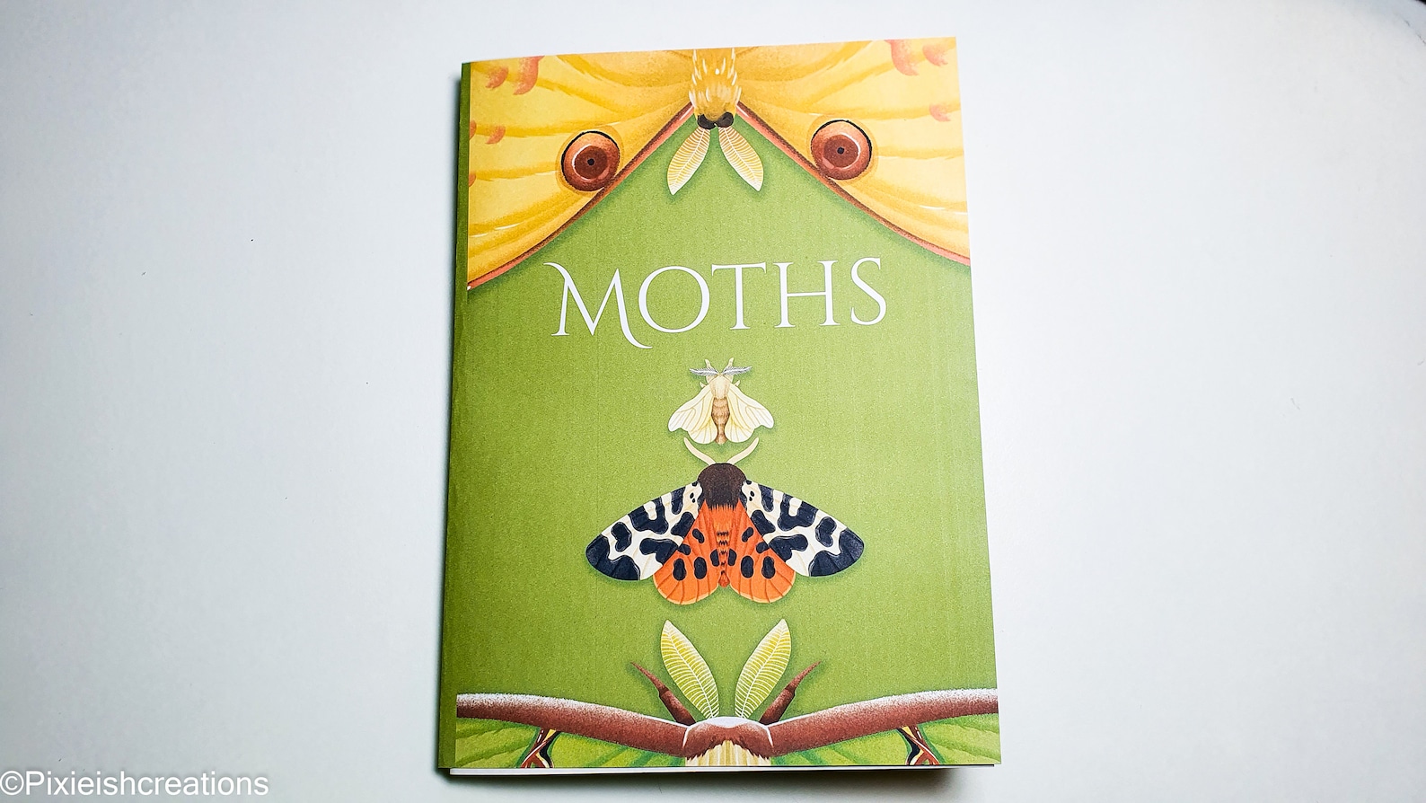 Moths DIY Pop up Book Creation Kit for Adults, DIY Pop-up Book Project ...