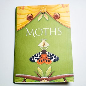 Moths DIY Pop up Book Creation Kit for Adults, DIY Pop-up Book Project ...