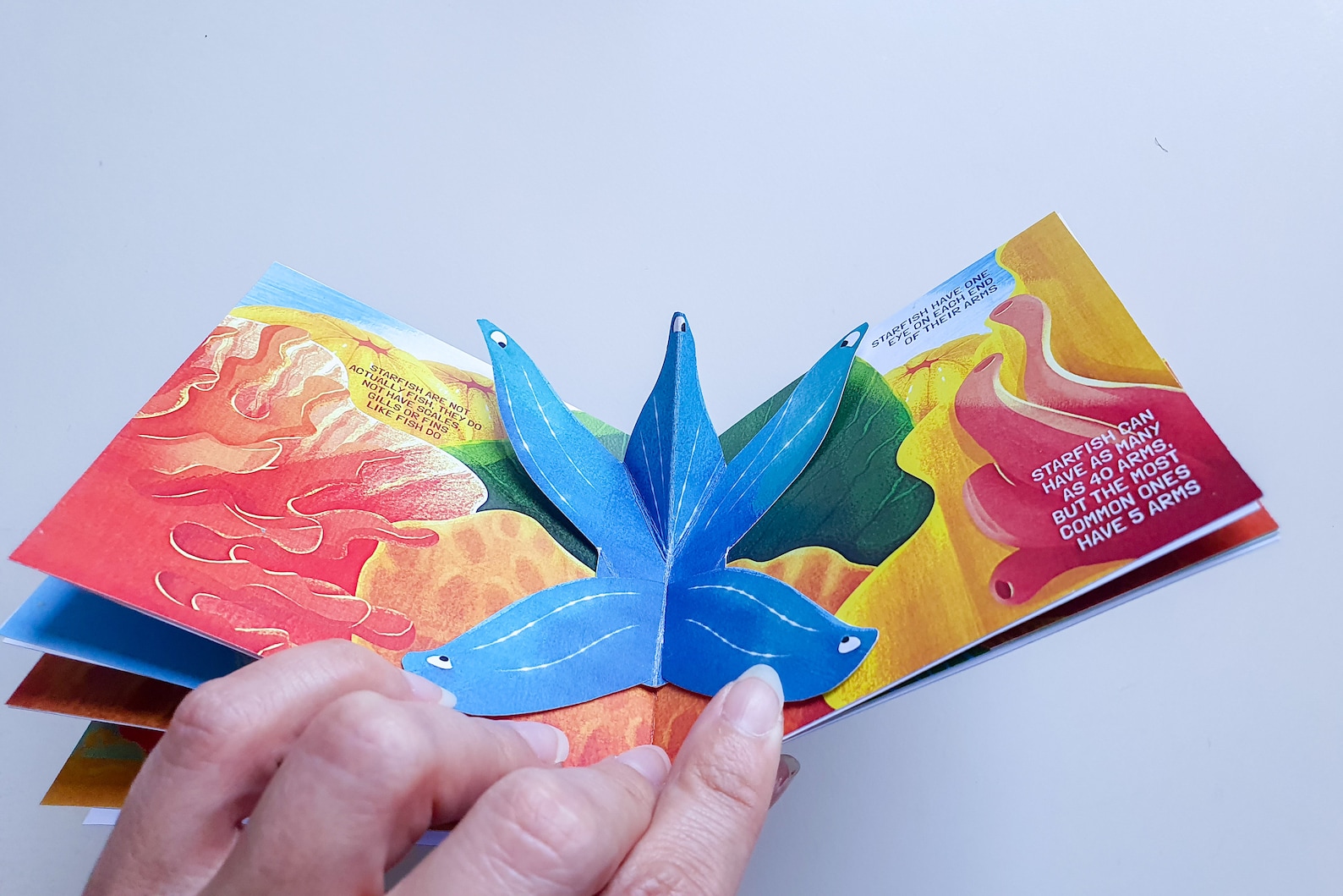 Diy Popup Book Papercraft for Kids and Parents Play and Learn - Etsy UK