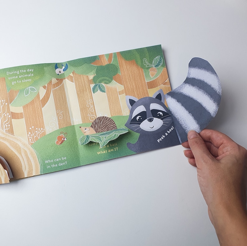 Easy DIY Lift the Flap Book for Young Children, DIY Toddler Book ...