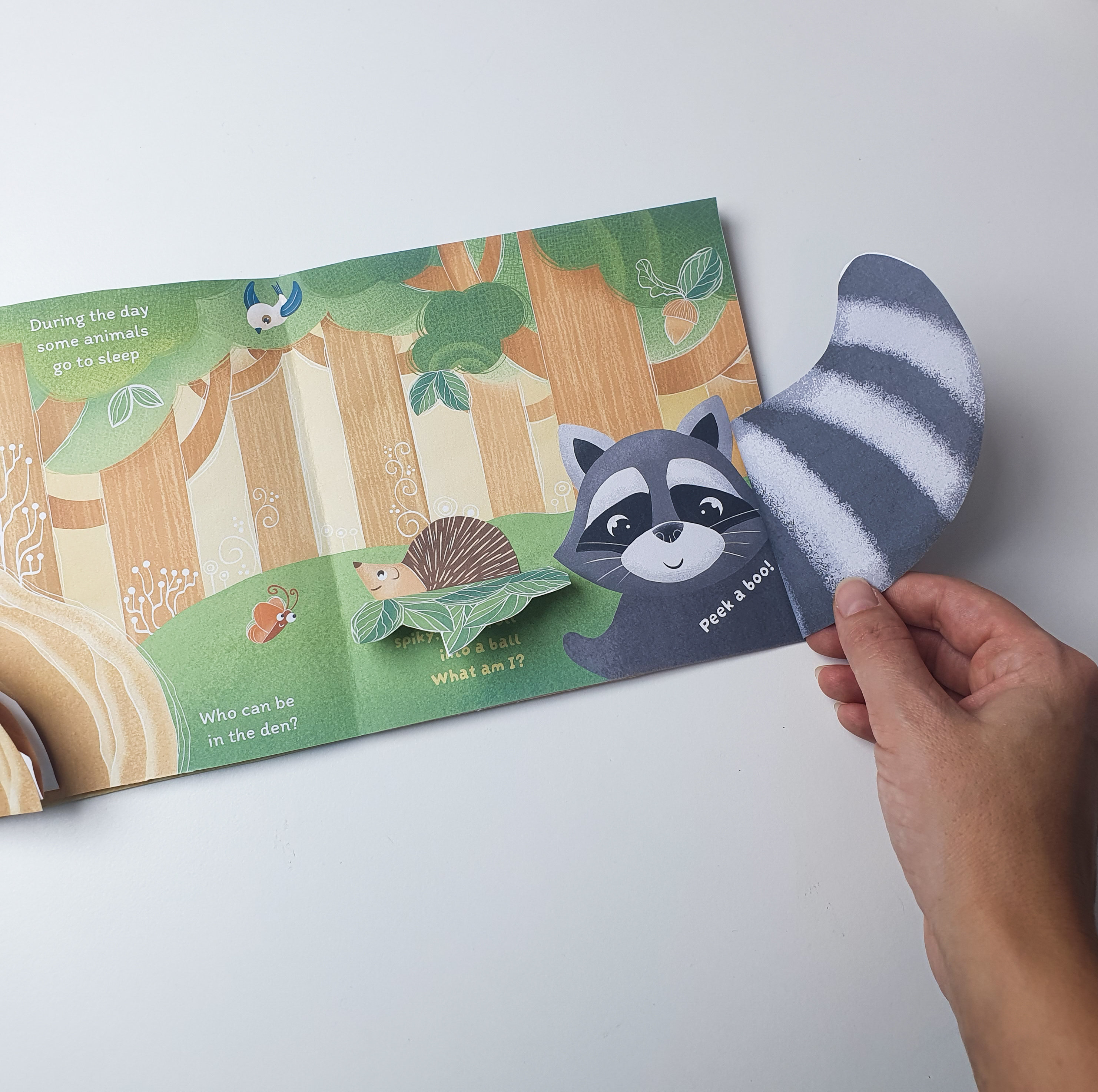 Easy DIY Lift the Flap Book for Young Children, DIY Toddler Book ...