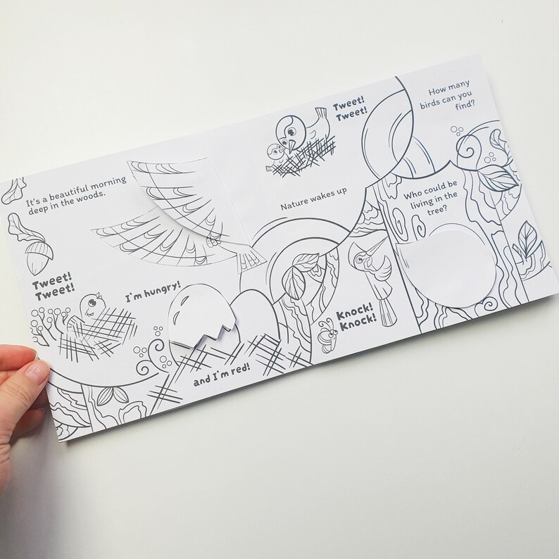 Lift the Flap DIY Coloring Book for Young Children, Forest Book ...