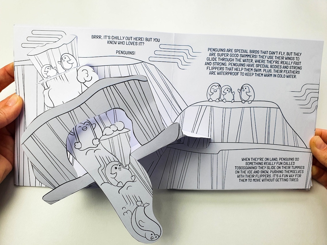 Birds DIY Coloring Pop-up Book Kit for Children, Educational Paper ...