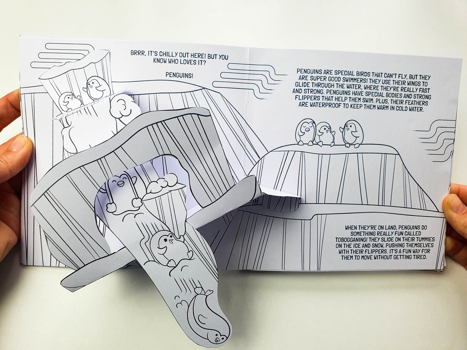 Birds DIY Coloring Pop-up Book Kit for Children, Educational Paper ...