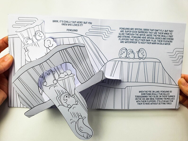 Birds DIY Coloring Pop-up Book Kit for Children, Educational Paper ...